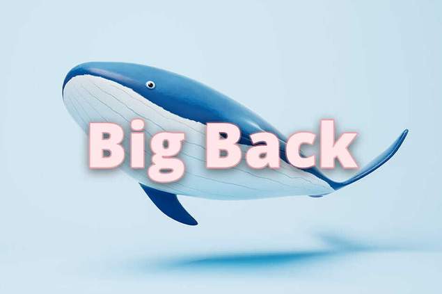 BIG BACK Slang Meaning | Merriam-Webster