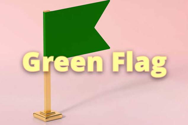 GREEN FLAG Slang Meaning | Merriam-Webster
