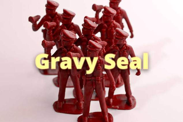 GRAVY SEAL Slang Meaning | Merriam-Webster