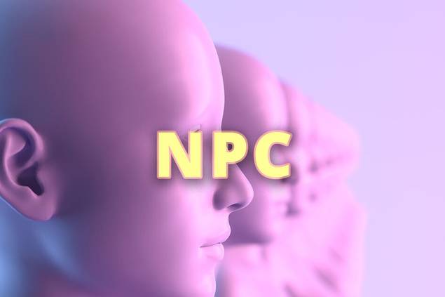 NPC Slang Meaning | Merriam-Webster