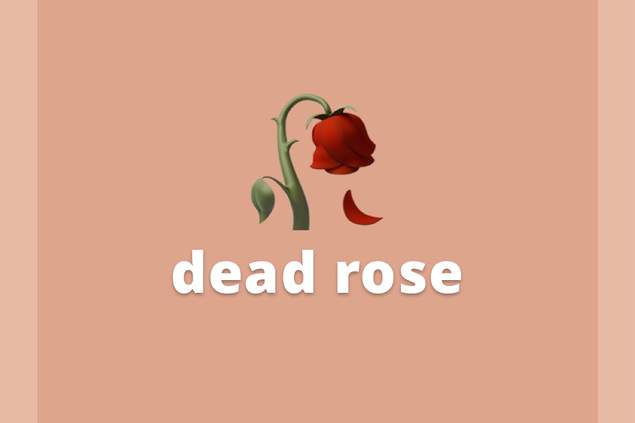 DEAD ROSE EMOJI (🥀) Slang Meaning | Merriam-Webster