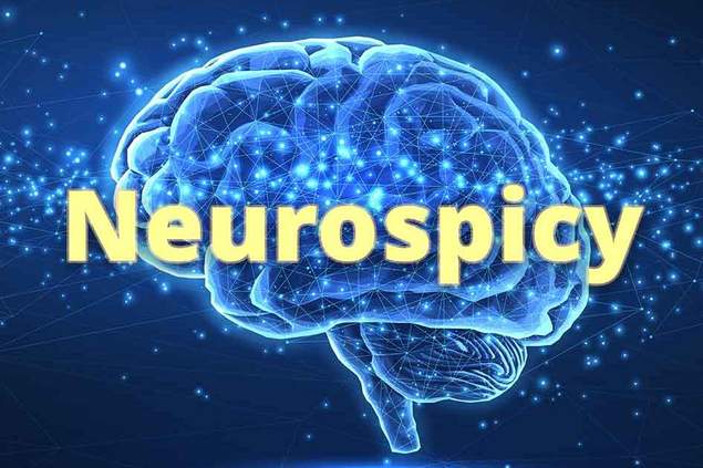 NEUROSPICY Slang Meaning | Merriam-Webster