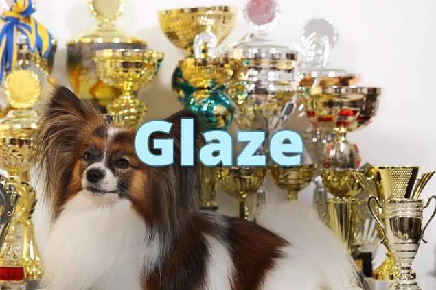 GLAZE Slang Meaning | Merriam-Webster