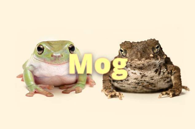 MOG Slang Meaning | Merriam-Webster