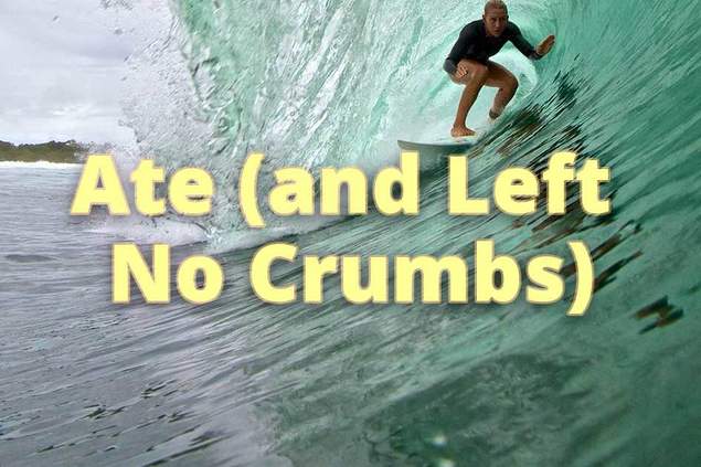 ATE (AND LEFT NO CRUMBS) Slang Meaning | Merriam-Webster
