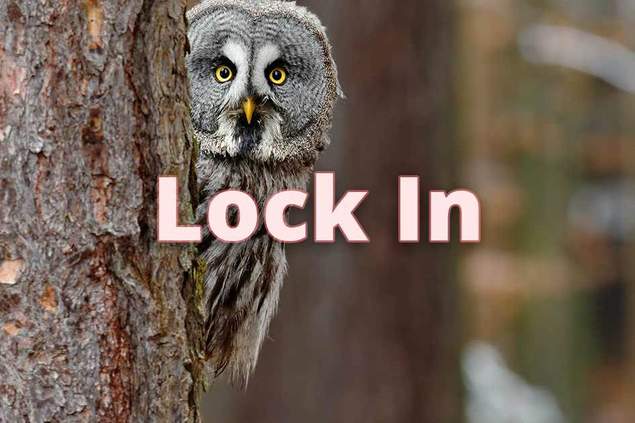 LOCK IN Slang Meaning | Merriam-Webster
