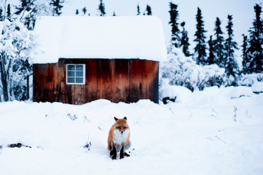 HOWE Definition & Meaning - Merriam-Webster