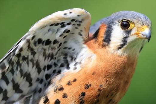 TAKE Definition & Meaning - Merriam-Webster