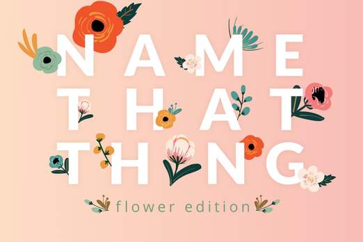 SHUTE Definition & Meaning - Merriam-Webster