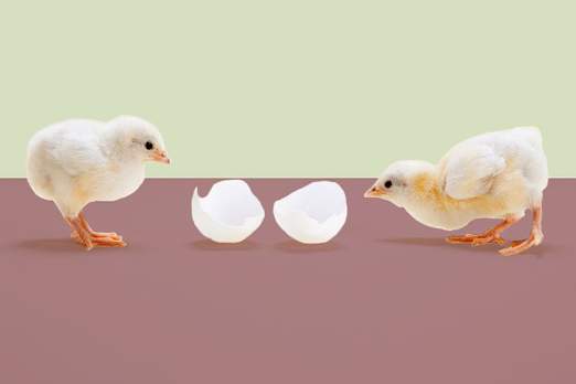 PAPIST Definition & Meaning - Merriam-Webster