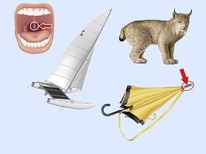 Name That Thing MegaQuiz: Vol. 2