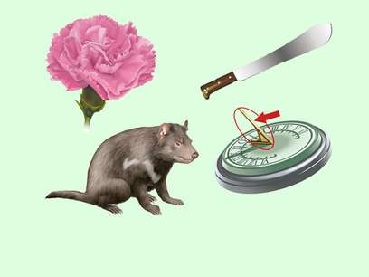 Name That Thing MegaQuiz: Vol. 3