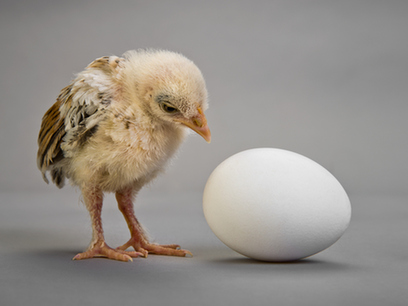 Which Came First? | Merriam-Webster Games & Quizzes