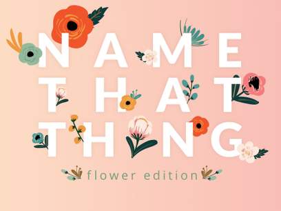 Name That Flower | Merriam-Webster Games And Quizzes