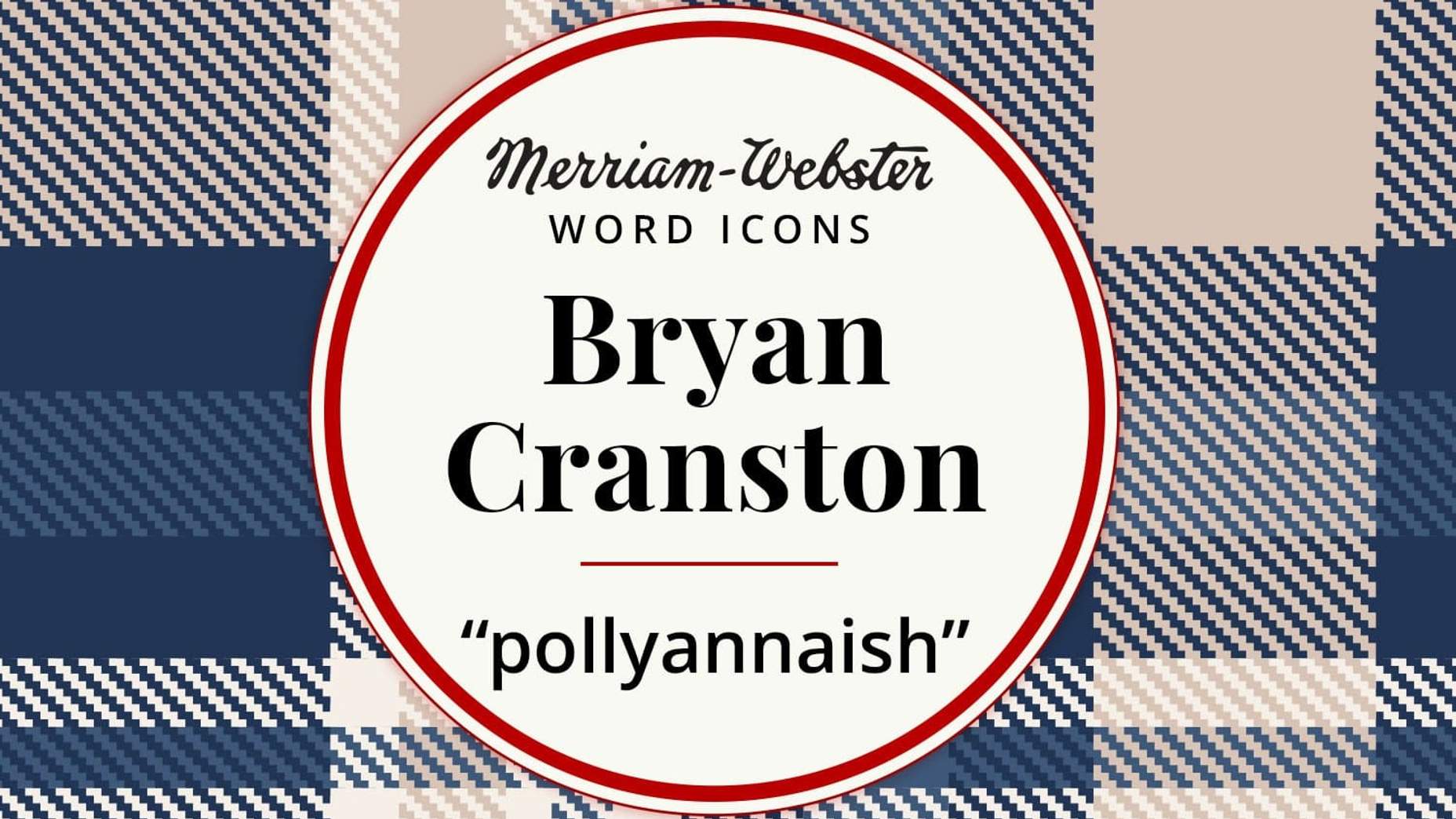 POLLYANNAISH Definition & Meaning - Merriam-Webster