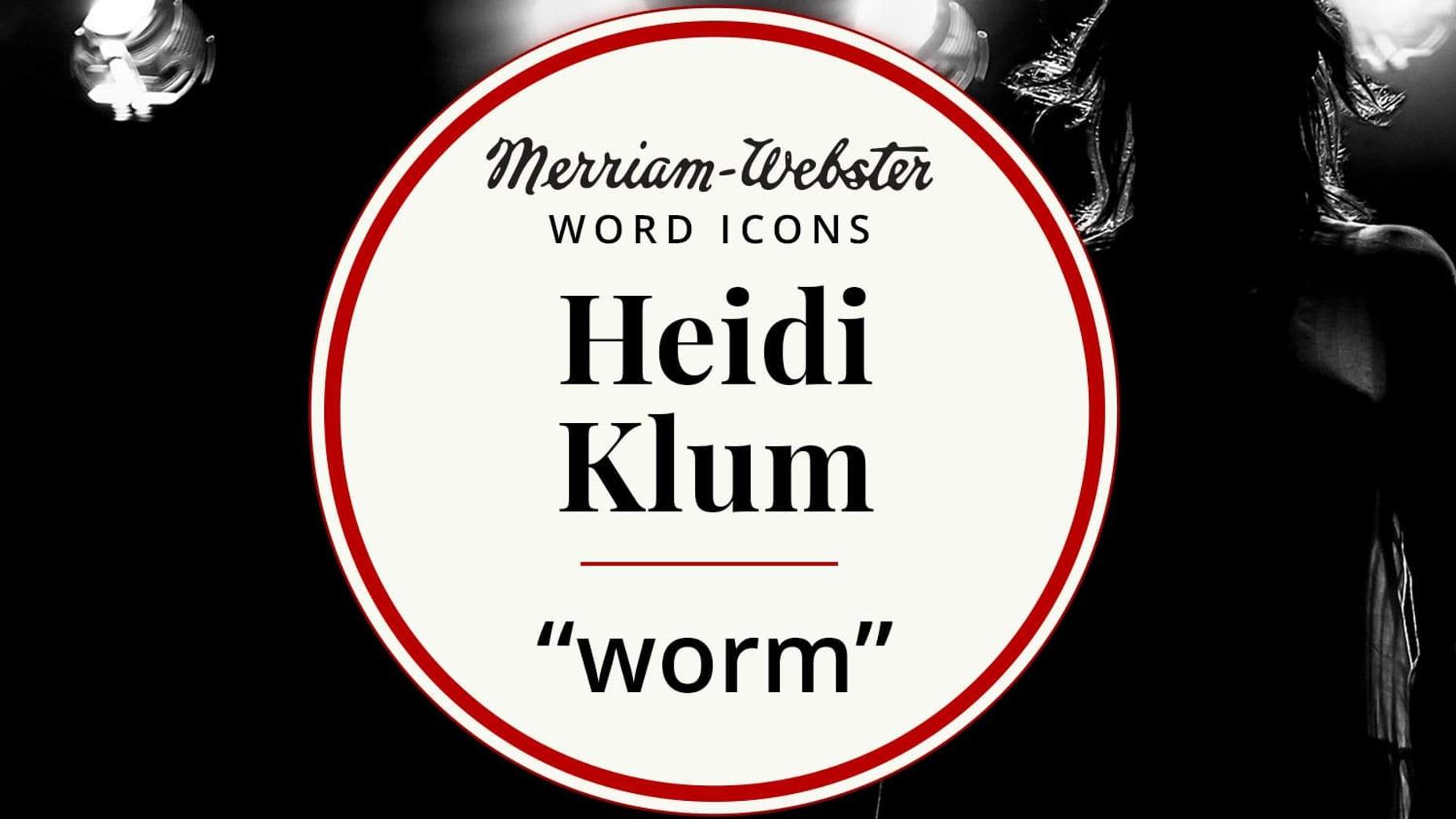WORM Definition & Meaning - Merriam-Webster
