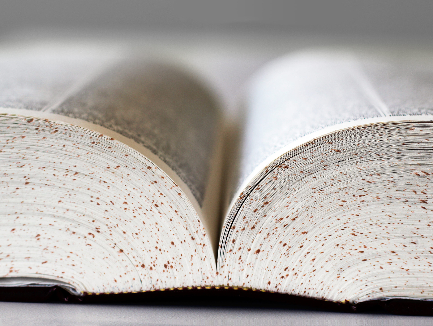 Merriam-Webster: America's Most Trusted Dictionary Merriam-Webster: America's Most Trusted Dictionary