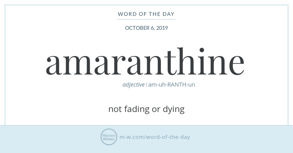 Word of the Day: Amaranthine | Merriam-Webster