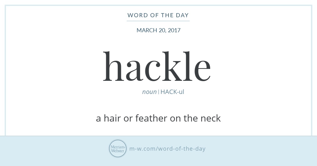 Word of the Day: Hackle | Merriam-Webster