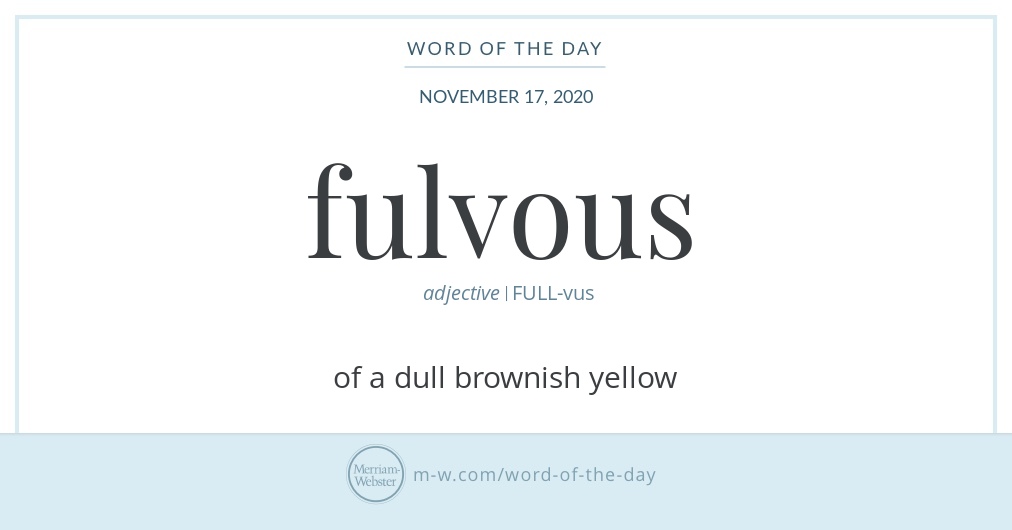 Word of the Day: Fulvous | Merriam-Webster