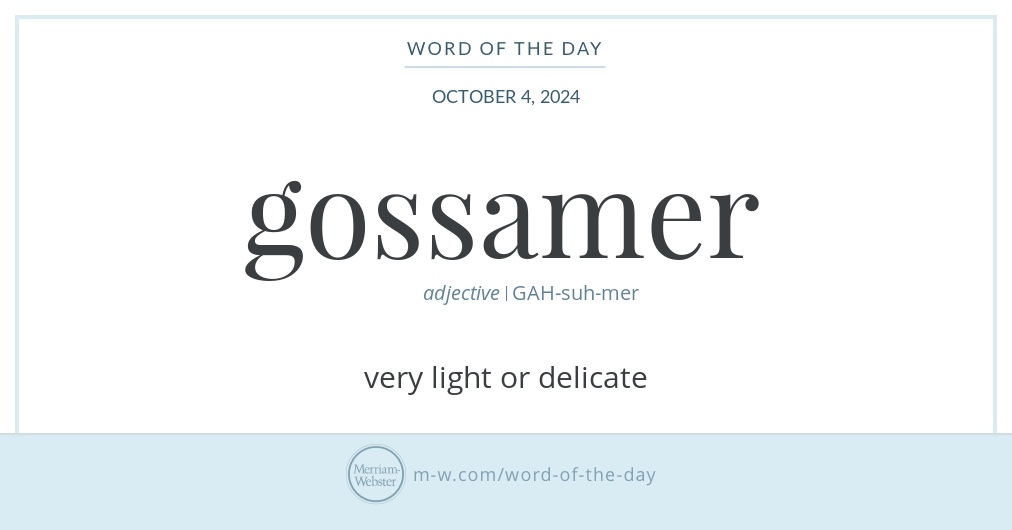 Word of the Day: Gossamer | Merriam-Webster