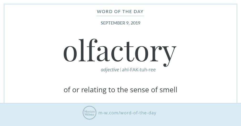 Word of the Day: Olfactory | Merriam-Webster