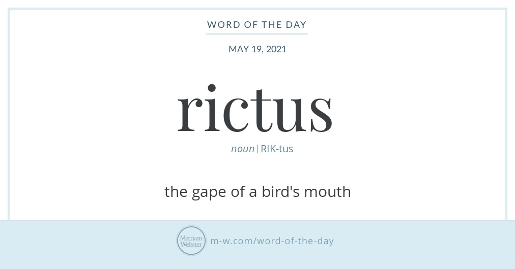 Word of the Day: Rictus | Merriam-Webster