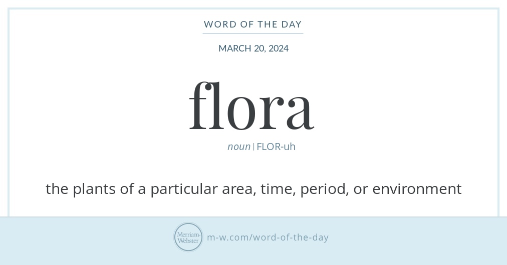 Word of the Day: Flora | Merriam-Webster