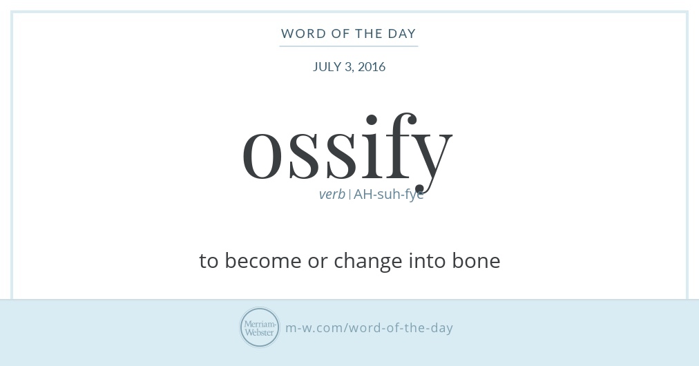 Word of the Day: Ossify | Merriam-Webster