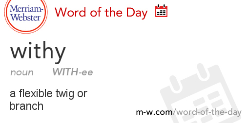 Word of the Day: Withy | Merriam-Webster