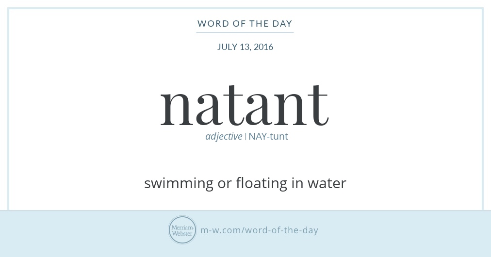 Word of the Day: Natant | Merriam-Webster
