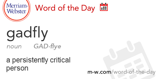 Word of the Day: Gadfly | Merriam-Webster