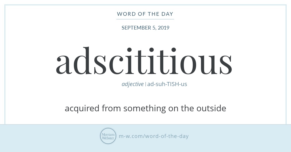 Word of the Day: Adscititious | Merriam-Webster