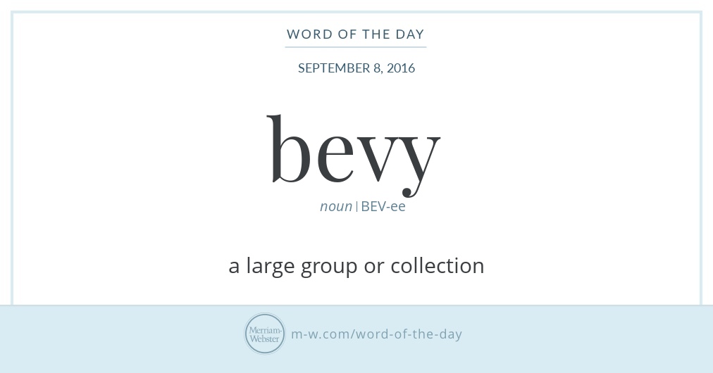 Word of the Day: Bevy | Merriam-Webster