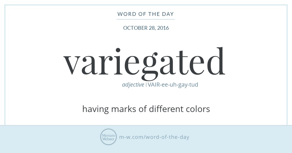 Word of the Day: Variegated | Merriam-Webster