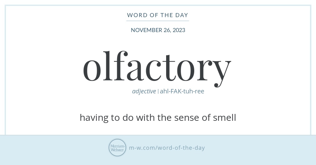 Word of the Day: Olfactory | Merriam-Webster