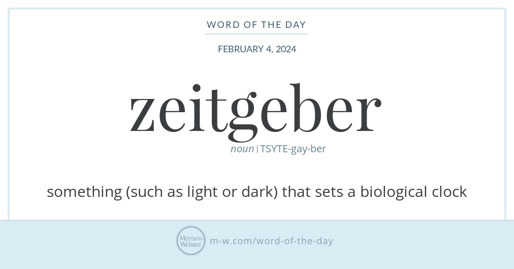 Word of the Day: Zeitgeber | Merriam-Webster