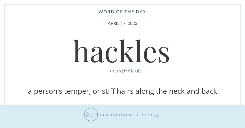 Word of the Day: Hackles | Merriam-Webster