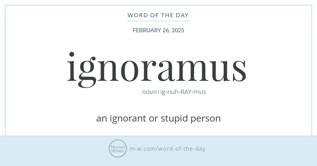Word of the Day: Ignoramus | Merriam-Webster