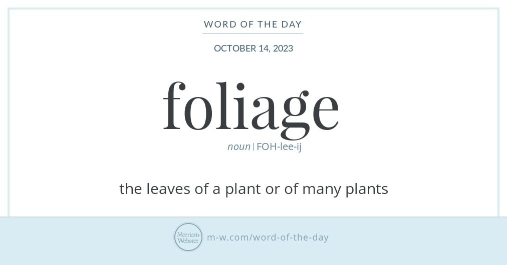 Word of the Day: Foliage | Merriam-Webster