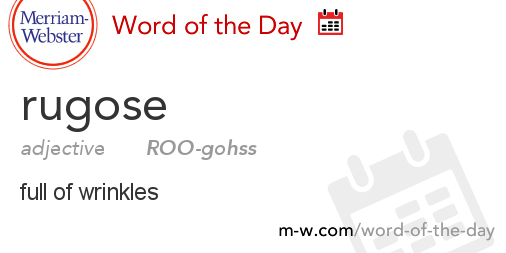 Word of the Day: Rugose | Merriam-Webster